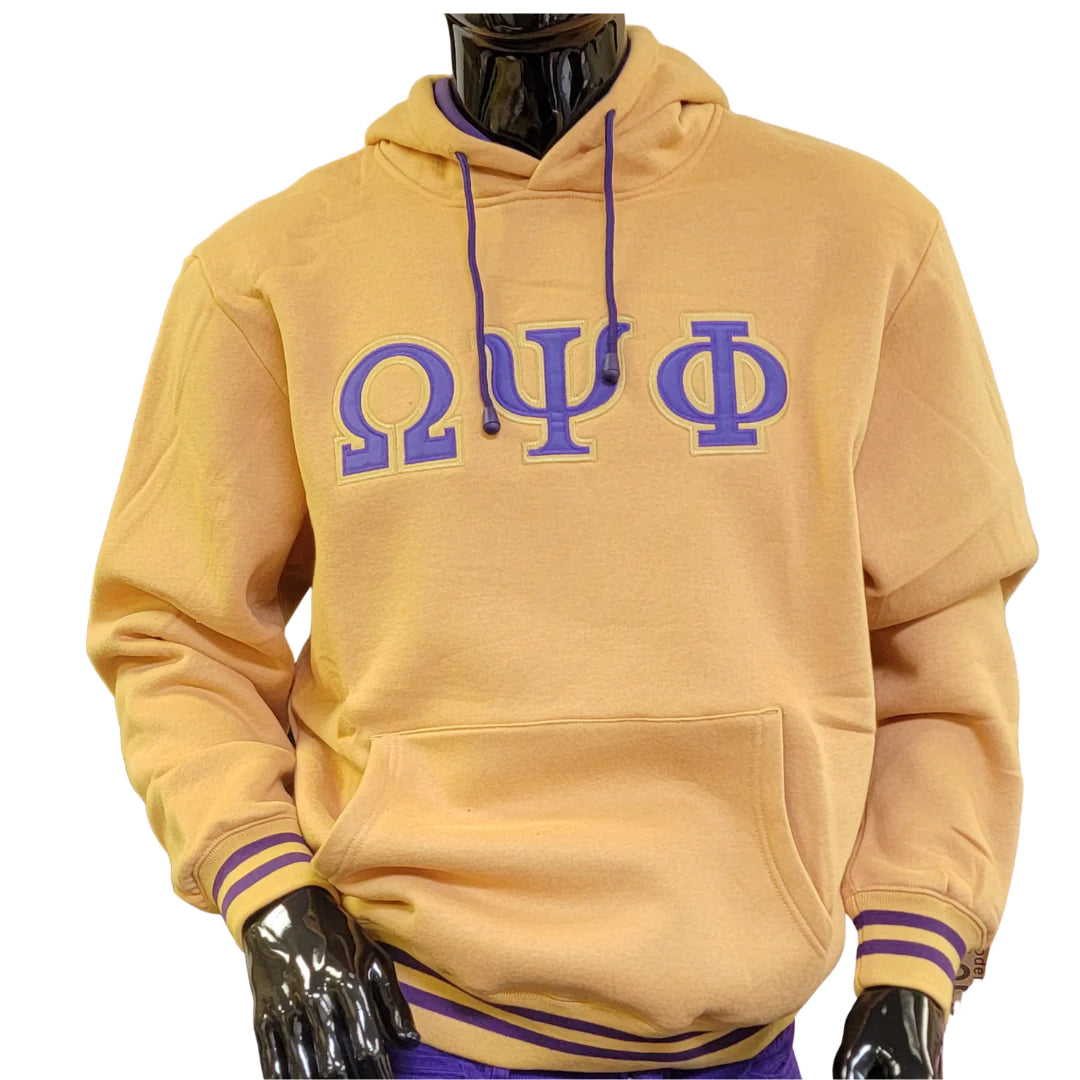 Omega Hoodie – Passionate Pebbles' LLC